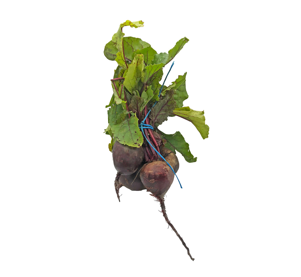 Loose Beetroot – Great Park Farm